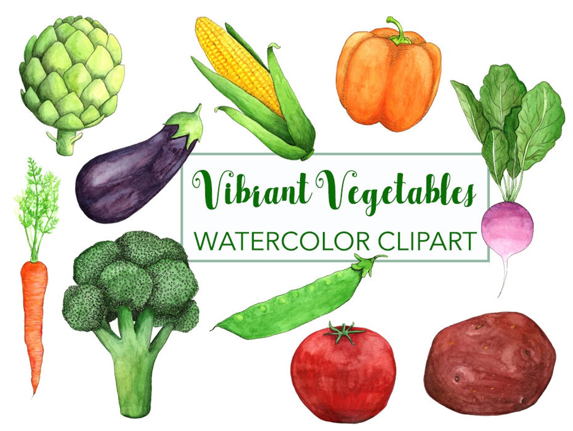 Vegetable Clipart - Garden Clipart - Summer Clipart - Digital Clipart ...