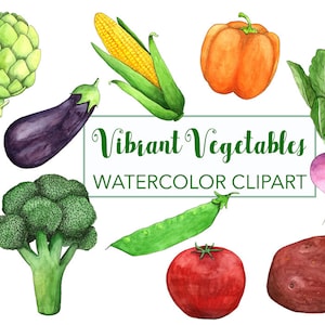 Vegetable Clipart - Garden Clipart - Summer Clipart - Digital Clipart ...