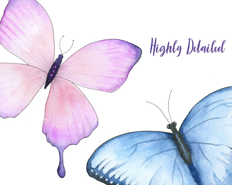 Butterfly Clipart - Butterflies Clipart - Spring Clipart - Butterfly ...