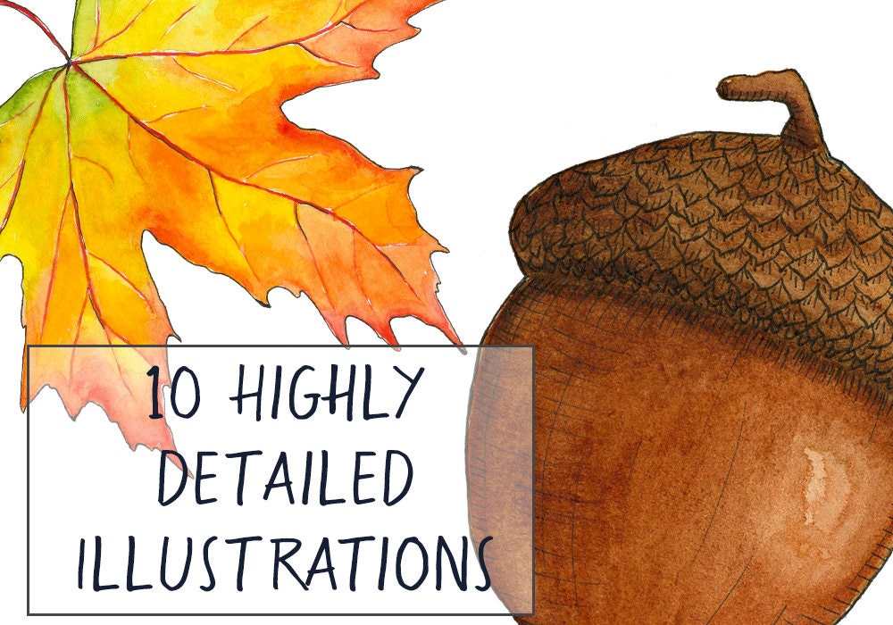 Fall Watercolor Clip Art - Fall Clipart - Fall Graphics - Hand Drawn ...