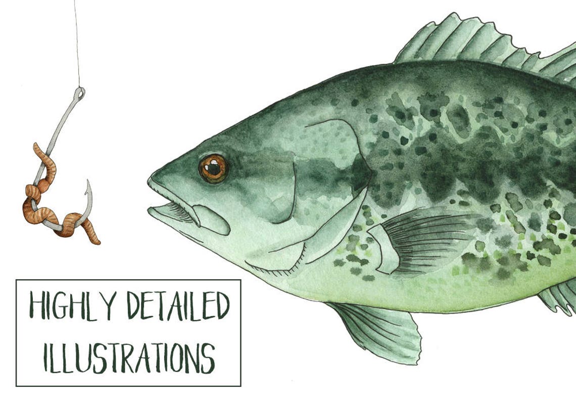Fish Watercolor Clip Art - Fish Watercolor Clipart - Fishing Clip Art ...