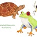 Watercolor Clipart - Animal Clipart - Watercolor Animal Clip Art ...