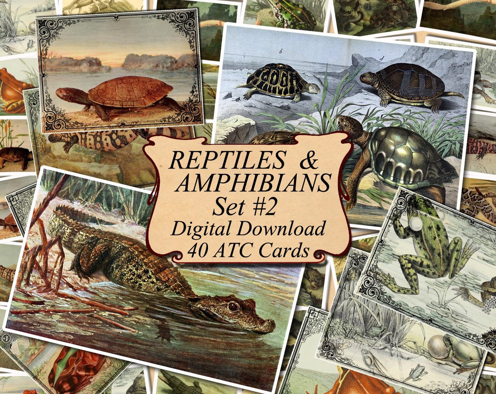 REPTILES and AMPHIBIANS Set 2 Digital Collage Sheet 40 ATC | Etsy