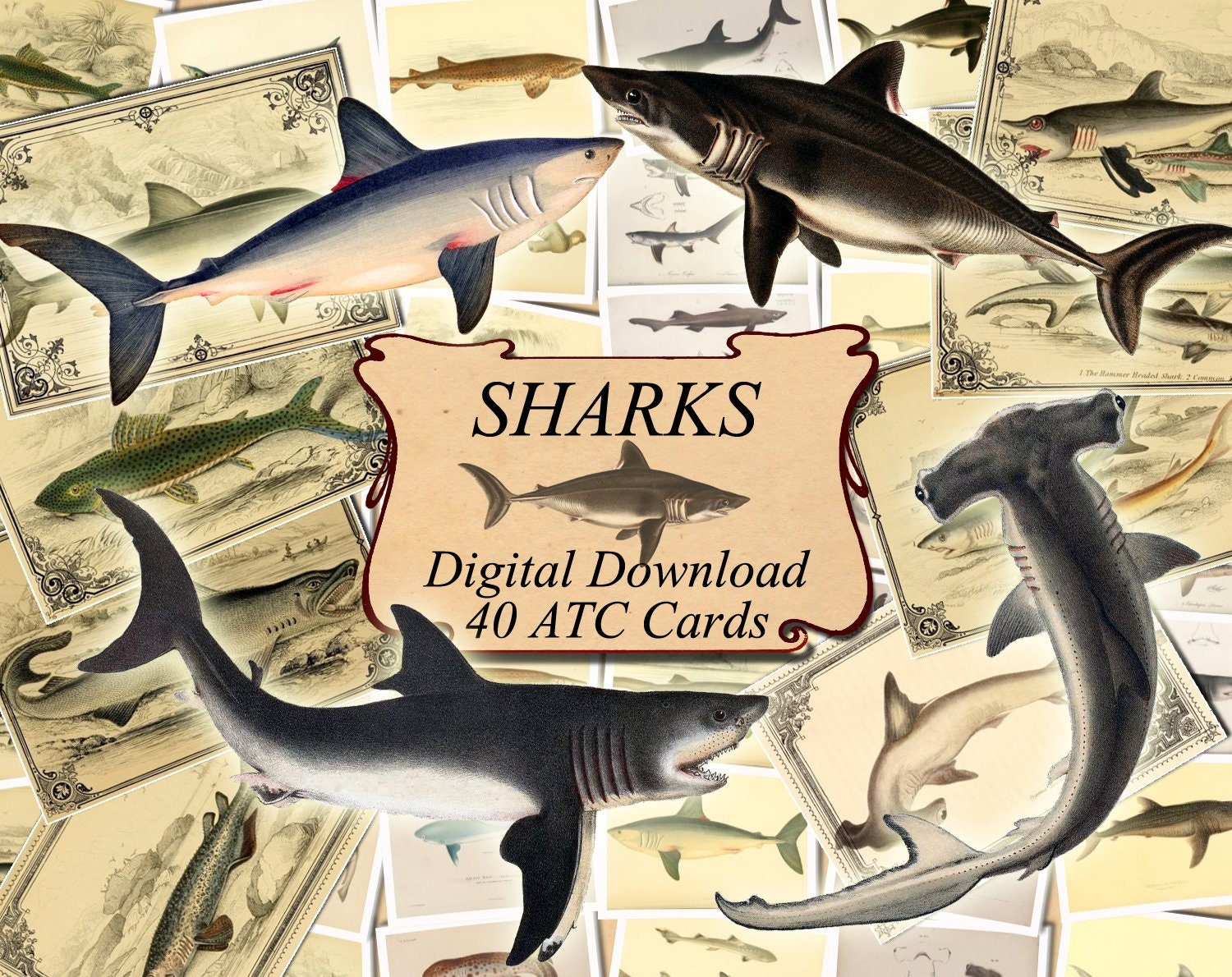 SHARKS digital collage sheet 40 ATC cards Printable Instant | Etsy