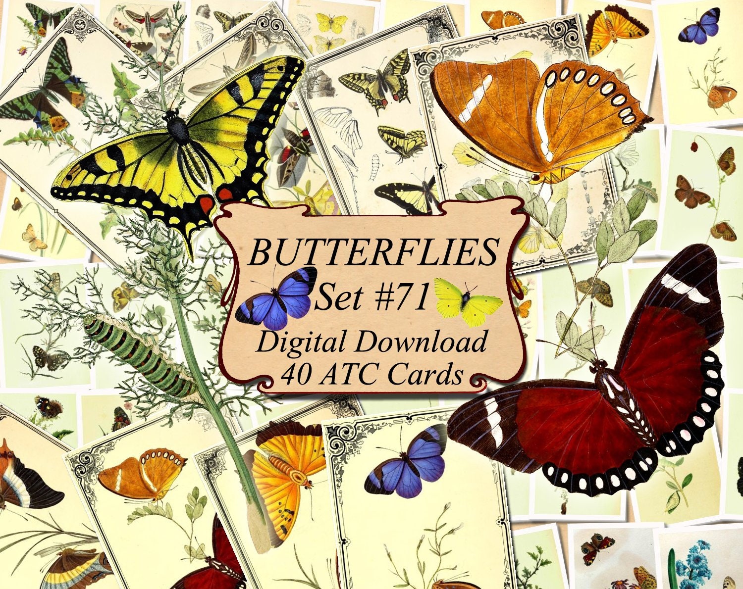 Scrapbooking Paper, Party & Kids BUTTERFLIES Set #41 digital collage ...