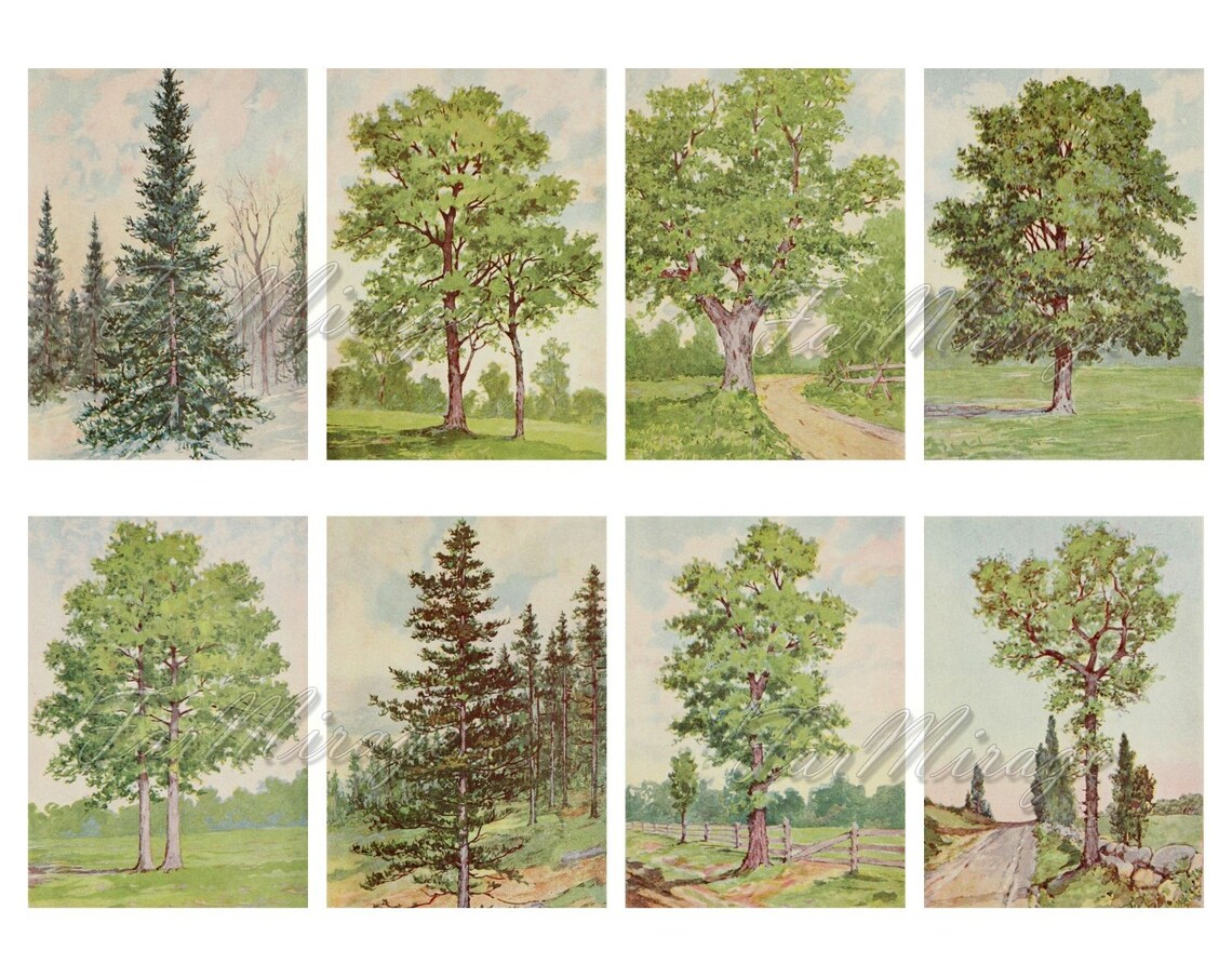 TREES Set 3 Digital Collage Sheet 40 ATC Cards Printable | Etsy