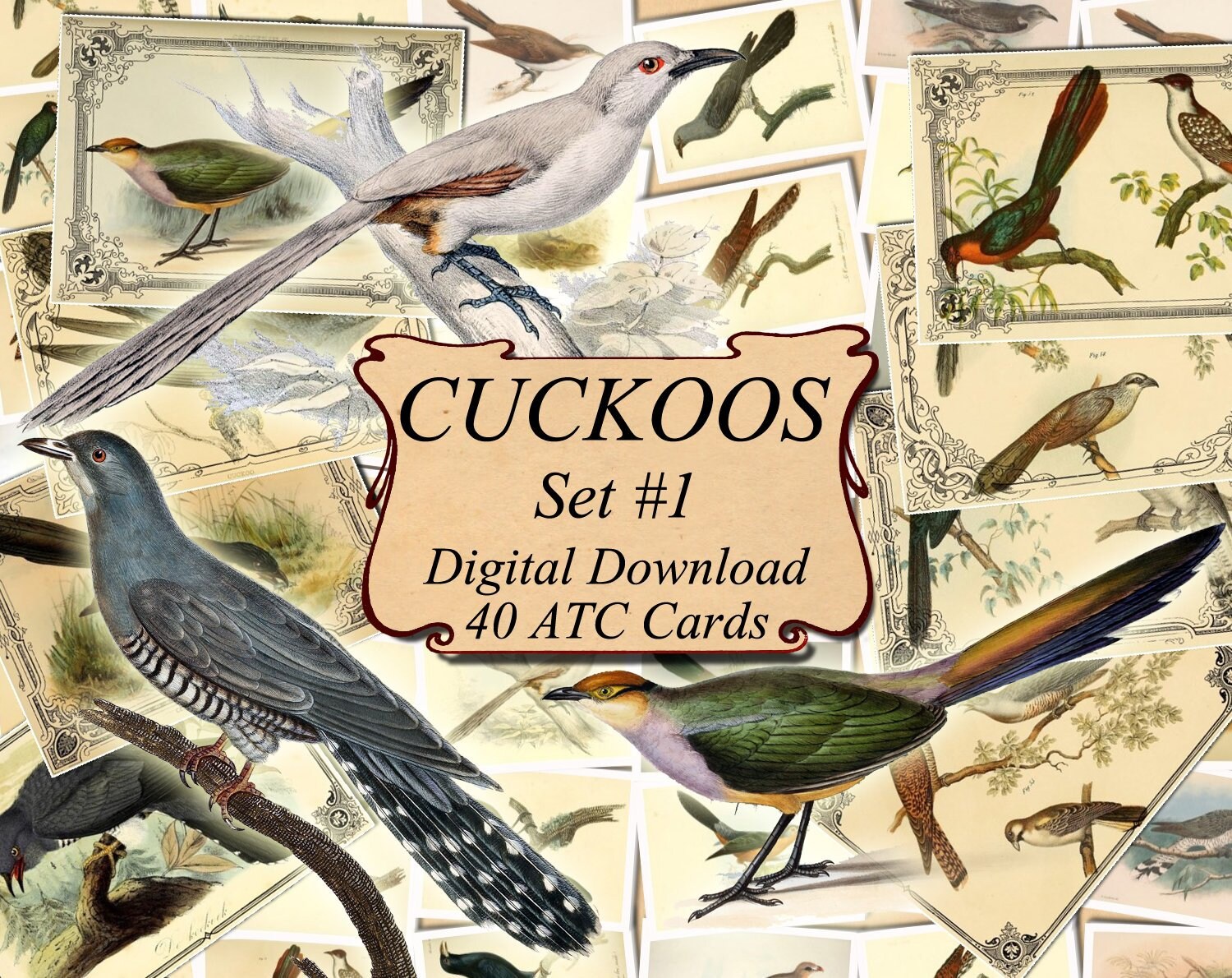 CUCKOOS Set 1 digital collage sheet 40 ATC cards Printable | Etsy