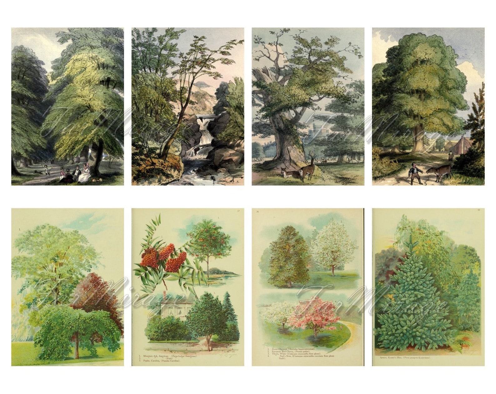 TREES Set 3 Digital Collage Sheet 40 ATC Cards Printable | Etsy
