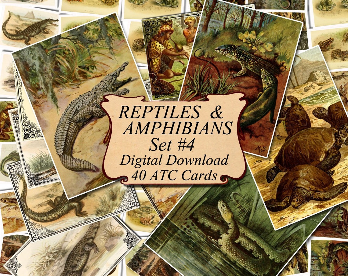 REPTILES and AMPHIBIANS Set 4 digital collage sheet 40 ATC | Etsy