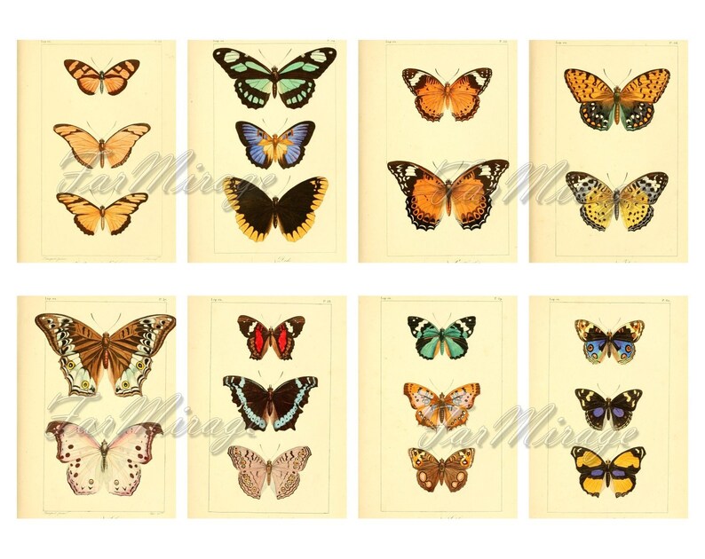 Scrapbooking Paper, Party & Kids BUTTERFLIES Set #41 digital collage ...