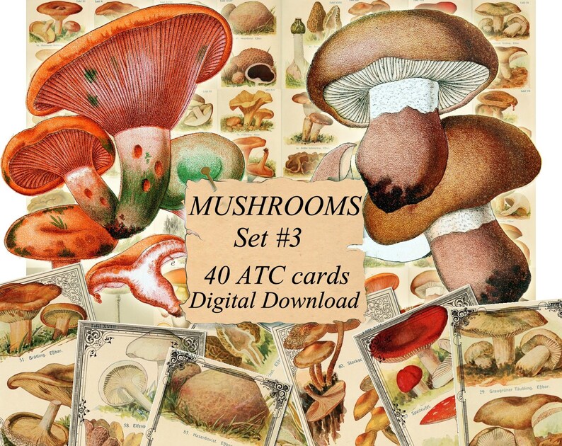 Mushrooms Set 3 Digital Collage Sheet 40 Atc Cards Etsy
