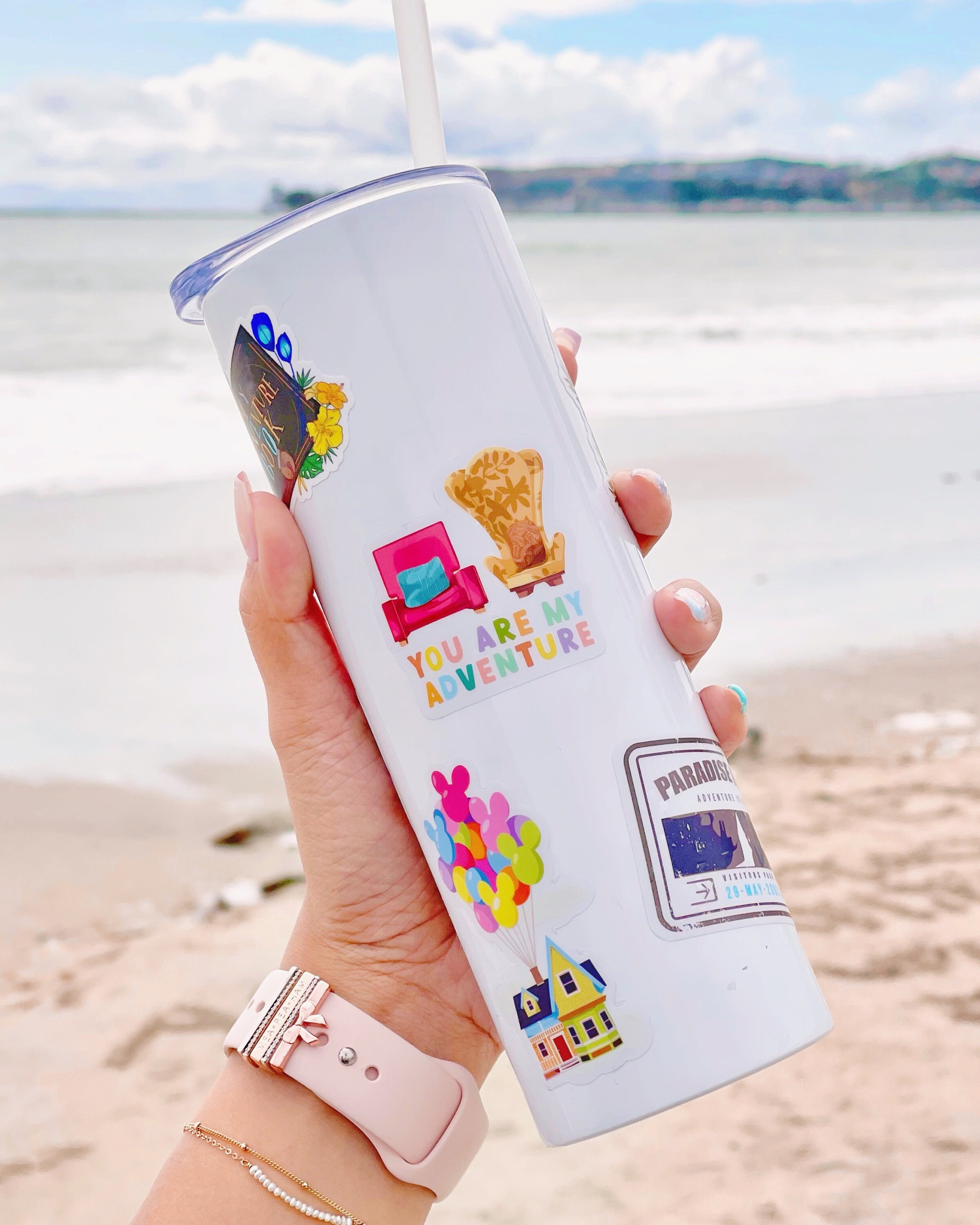 My Adventure Book Floral Laptop Transparent Sticker/ up Pixar Disney ...