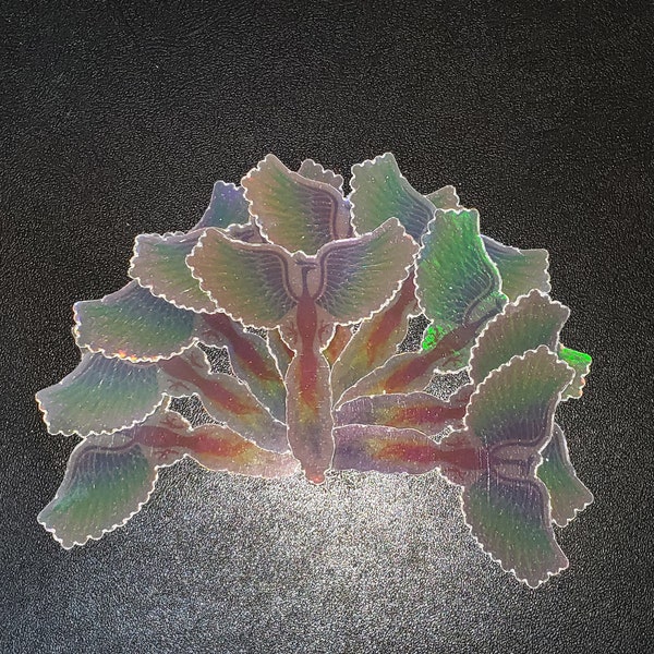 Phoenix Rising Car Decal - Etsy