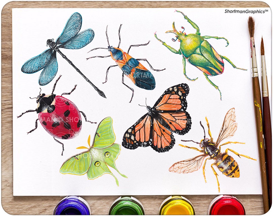 Watercolor Bugs Clipart - Watercolor Insect Clipart - Butterfly ...