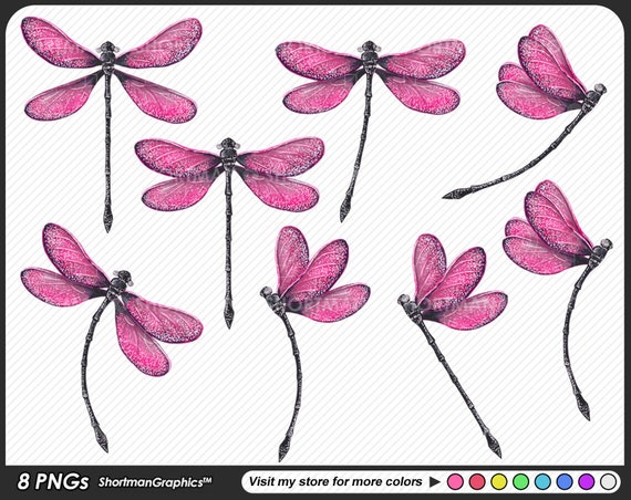 Pink Dragonflies Watercolor Clipart PNG Dragon Fly Clipart - Etsy