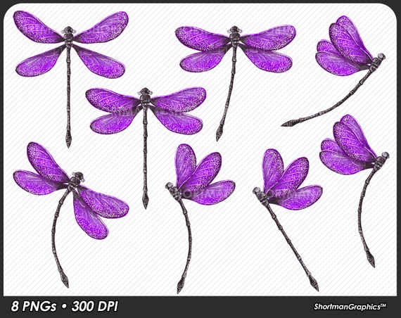 Purple Dragonflies Watercolor Clipart PNG Dragon Fly Clipart - Etsy