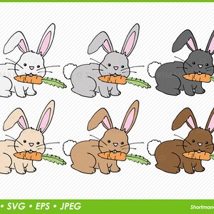 Bunny With Carrot Clipart - Easter - SVG PNG - Etsy