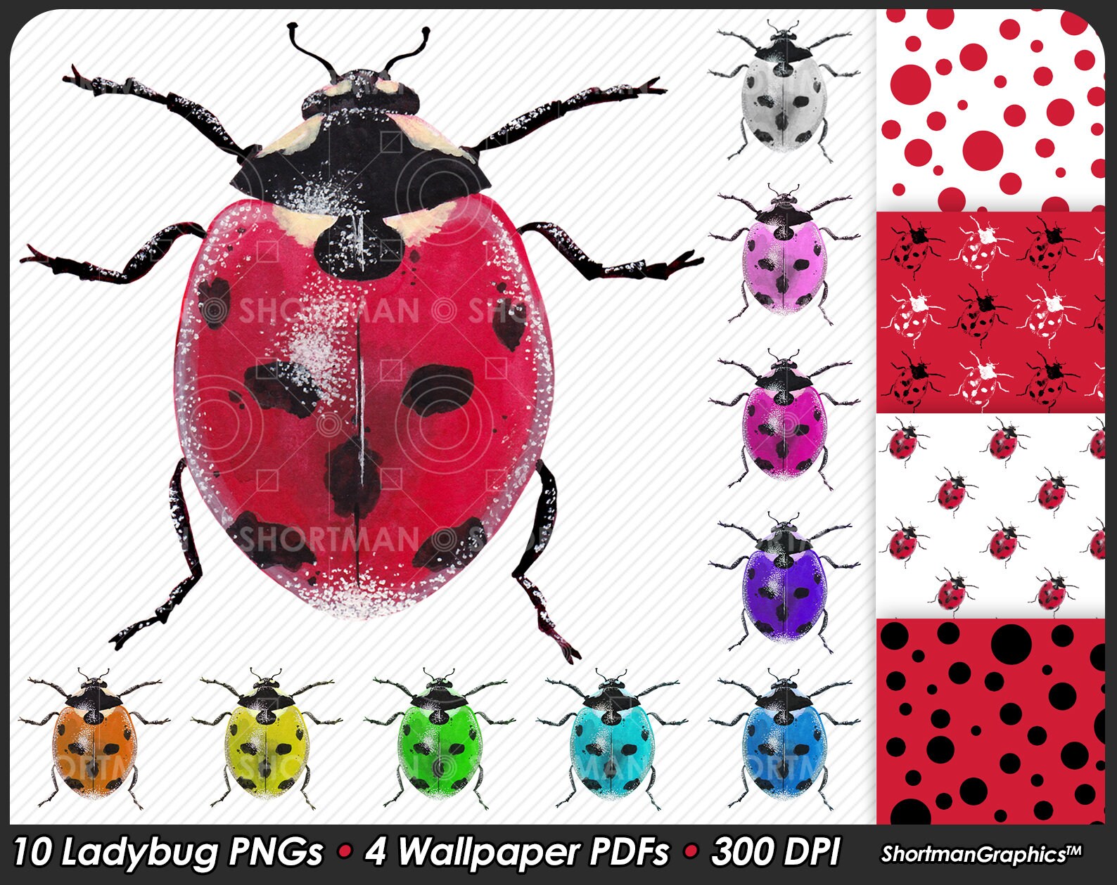 Pink Ladybug Wallpaper