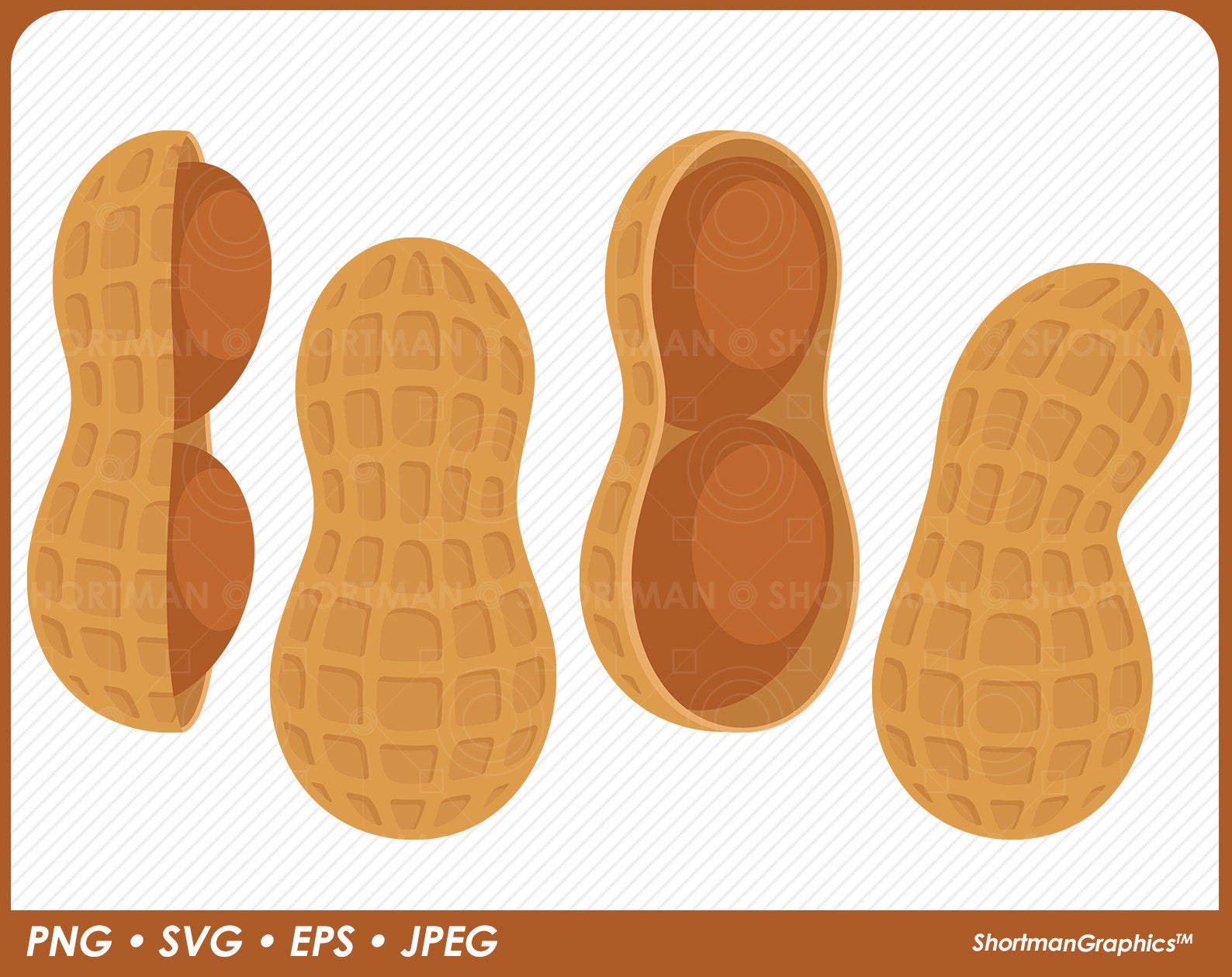 Peanut Clipart SVG PNG Download - Etsy