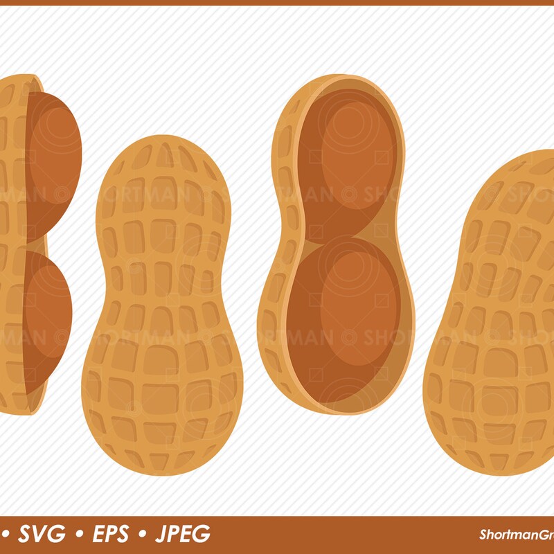 Peanut Svg - Etsy