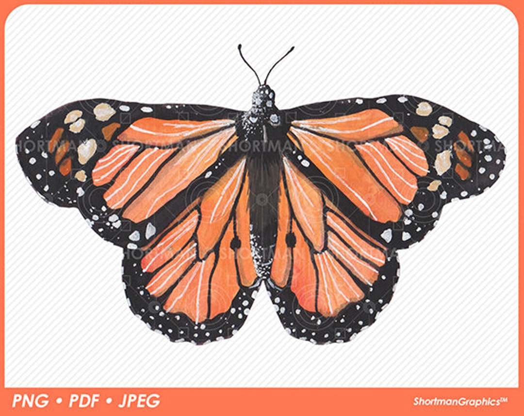 Watercolor Butterfly Clipart, Monarch Butterfly - PNG - JPG - PDF - Etsy