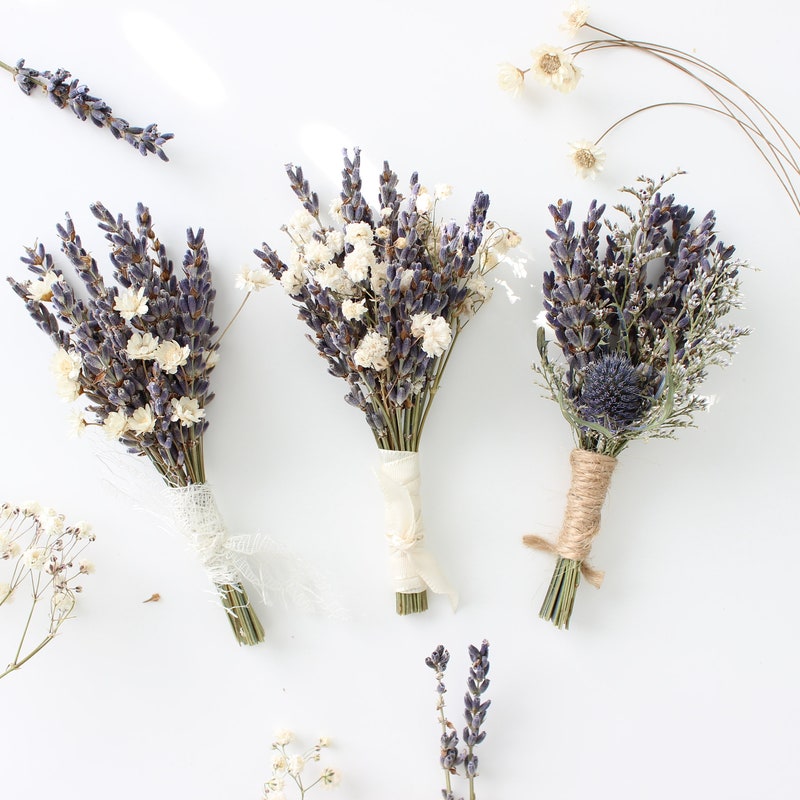 Thistle & Lavender - Etsy