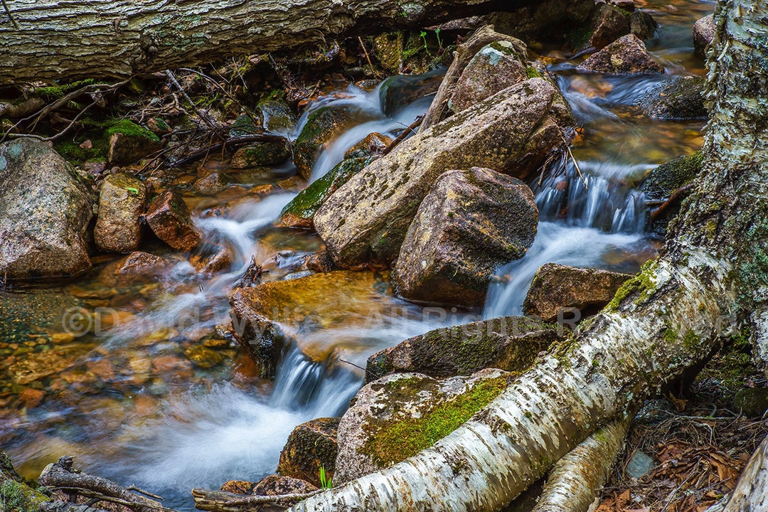 Jordan Stream, Acadia National Park, Maine Color Photograph Wall Art - Etsy