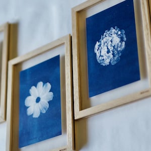 Cyanotype of Flowers in Transparent Oak Frame - Etsy