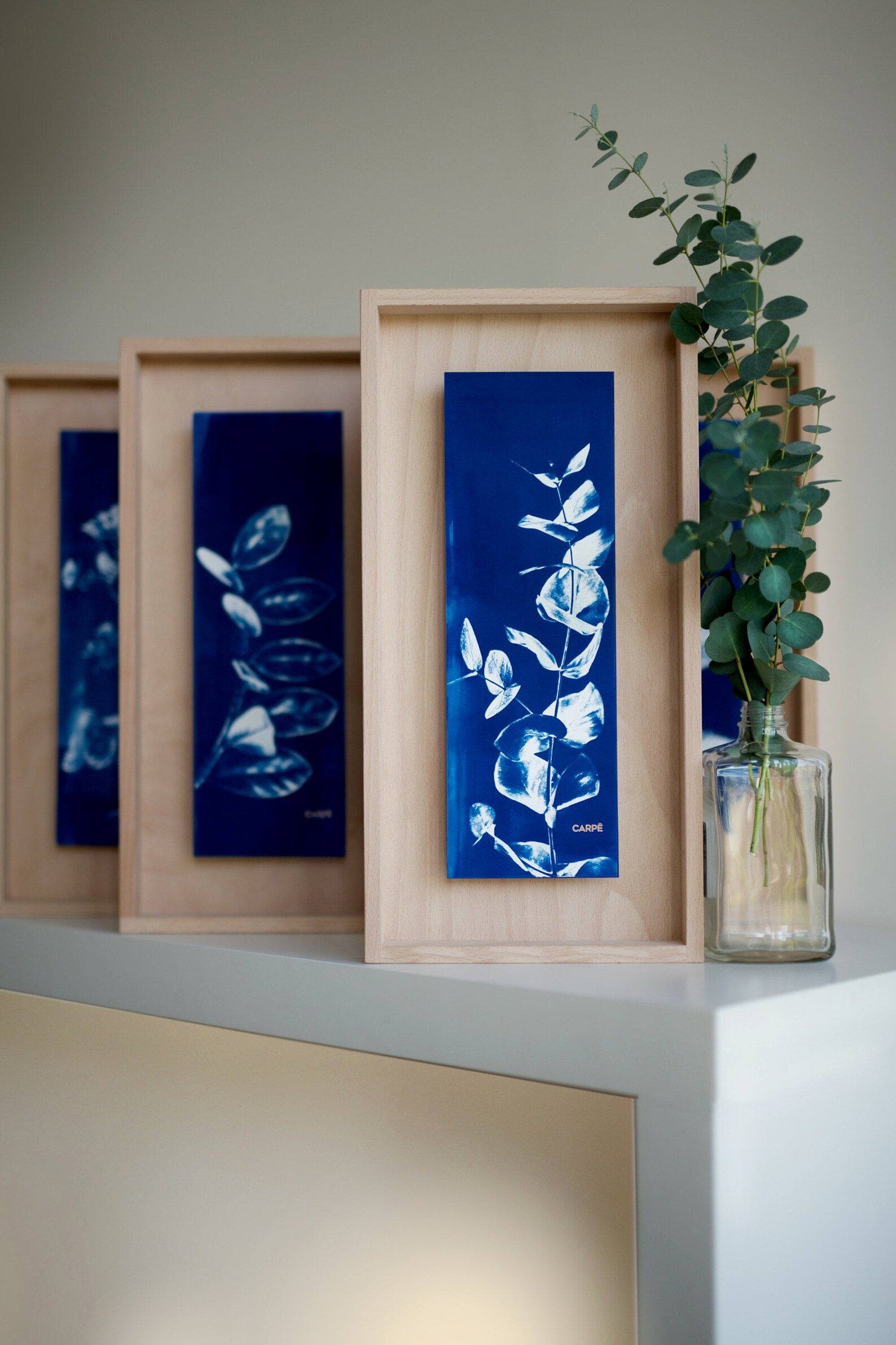 Original Cyanotype in Its Wooden Frame, Handmade Gifts, Botanical Art ...