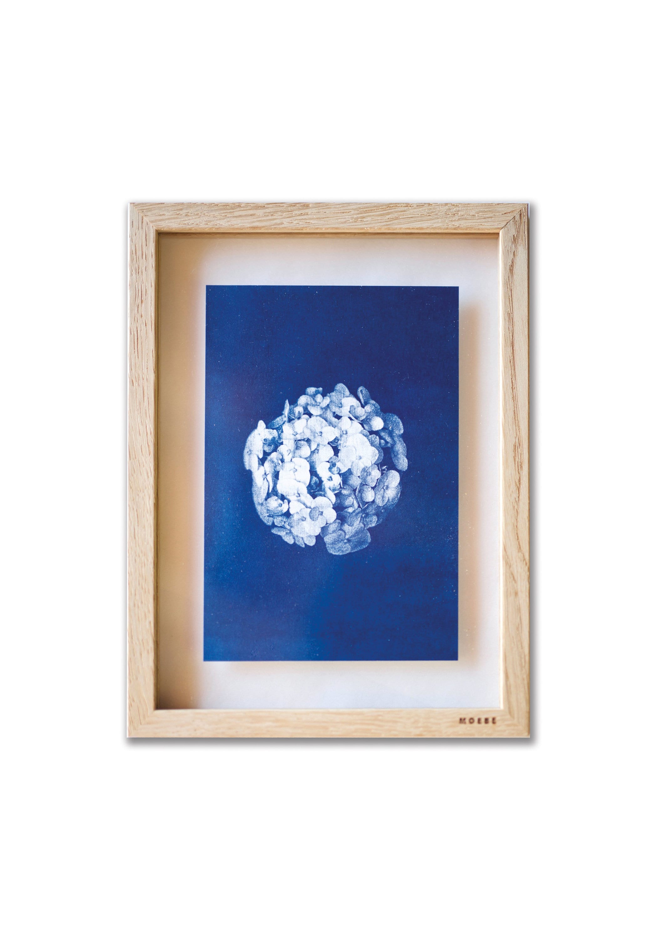 Transparent Oak Wood Frame With Cyanotype Swabdesign - Etsy