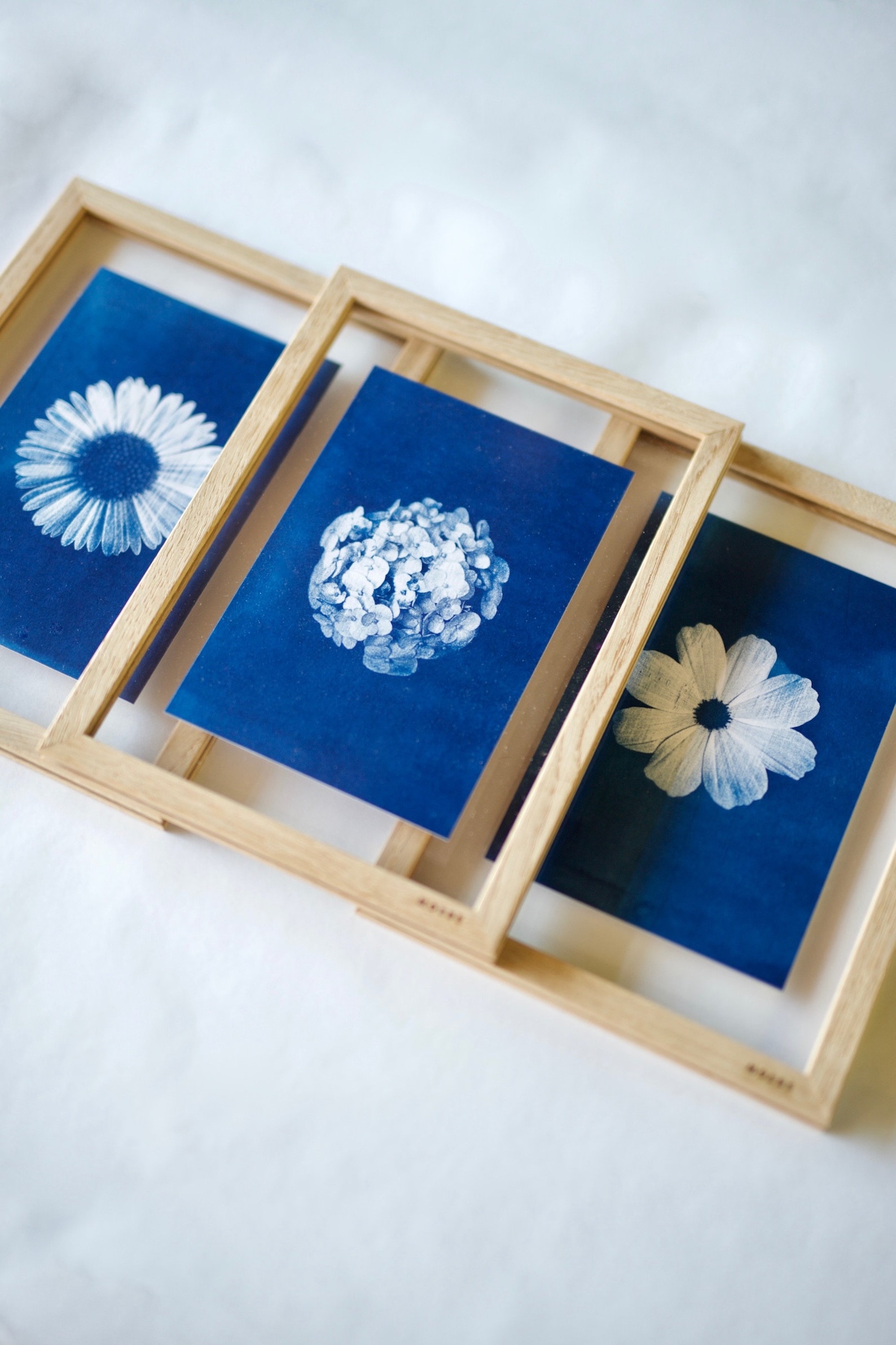 Cyanotype of Flowers in Transparent Oak Frame - Etsy