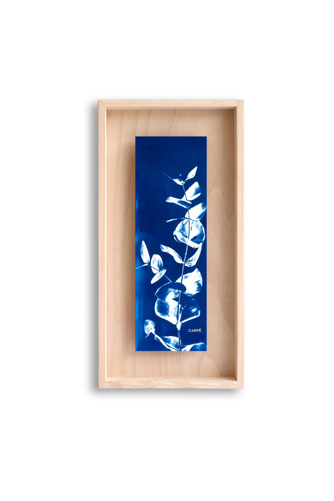 Original Cyanotype in Its Wooden Frame Handmade Gifts - Etsy