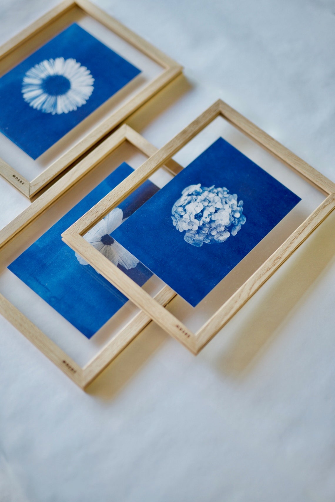 Transparent Oak Wood Frame With Cyanotype Swabdesign - Etsy