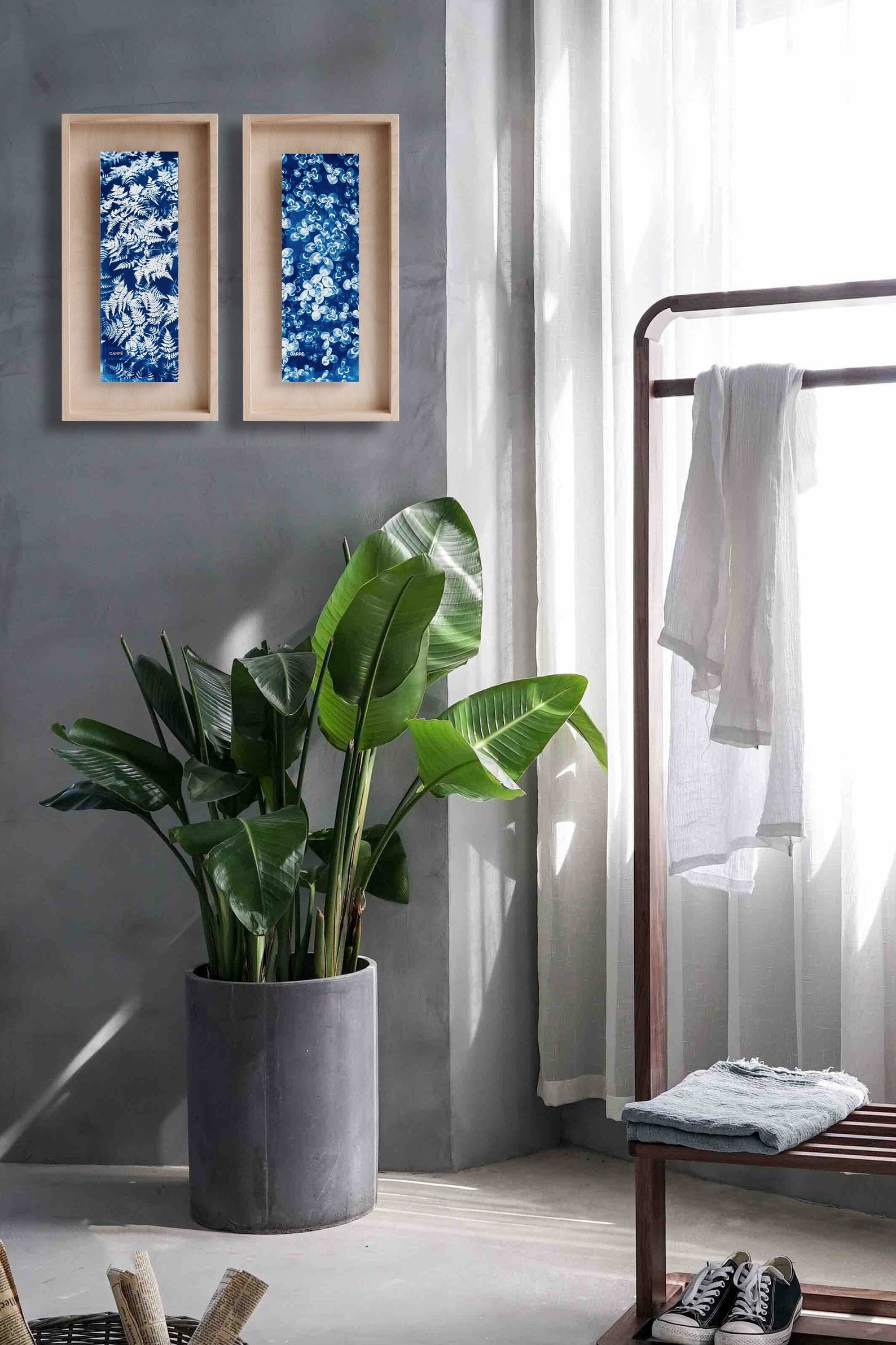 Original Cyanotype in Its Wooden Frame Handmade Gifts - Etsy