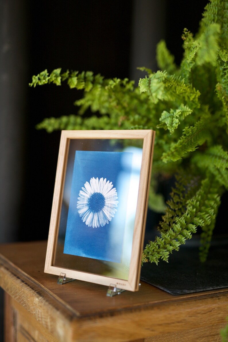 Cyanotype of Flowers in Transparent Oak Frame - Etsy