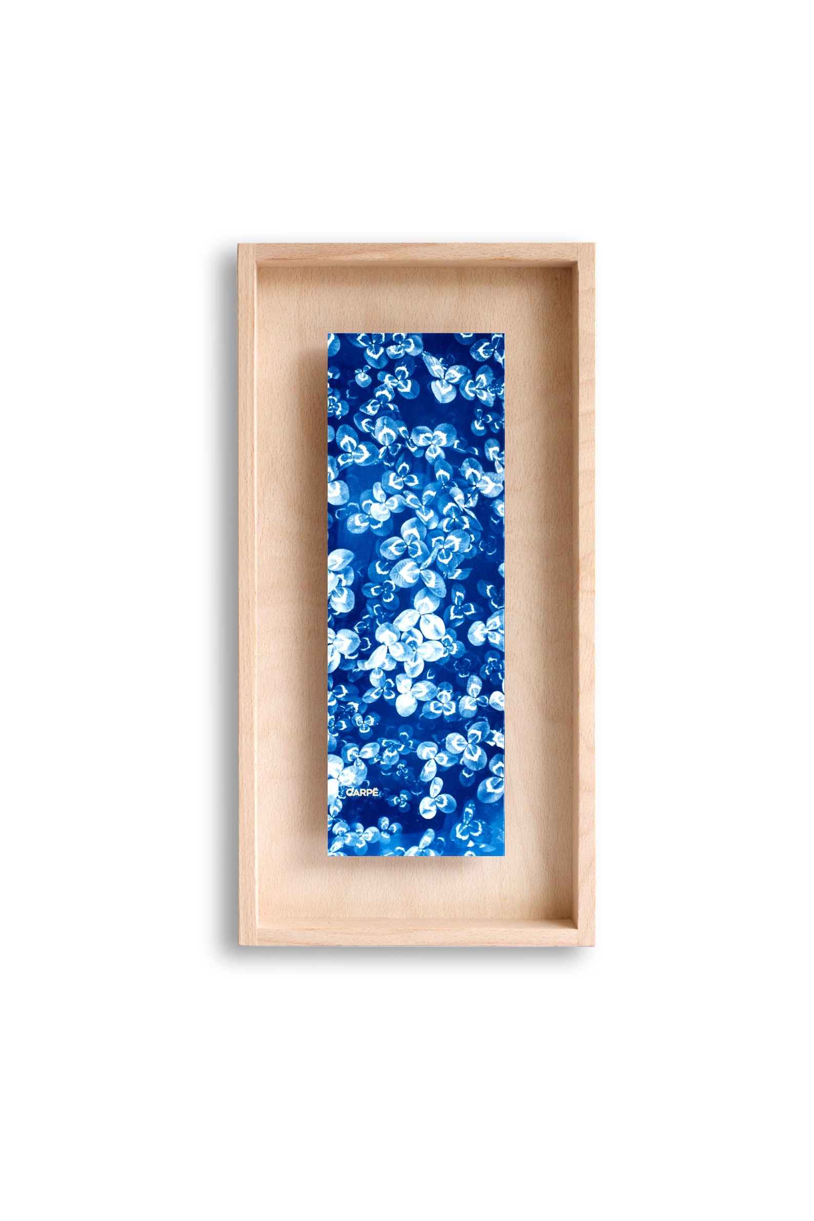 Original Cyanotype in Its Wooden Frame Handmade Gifts - Etsy