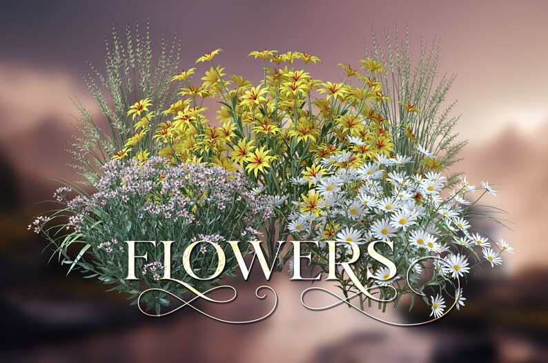 Flowers Overlays Backdrop Photo Overlays , Photography Backgrounds and ...