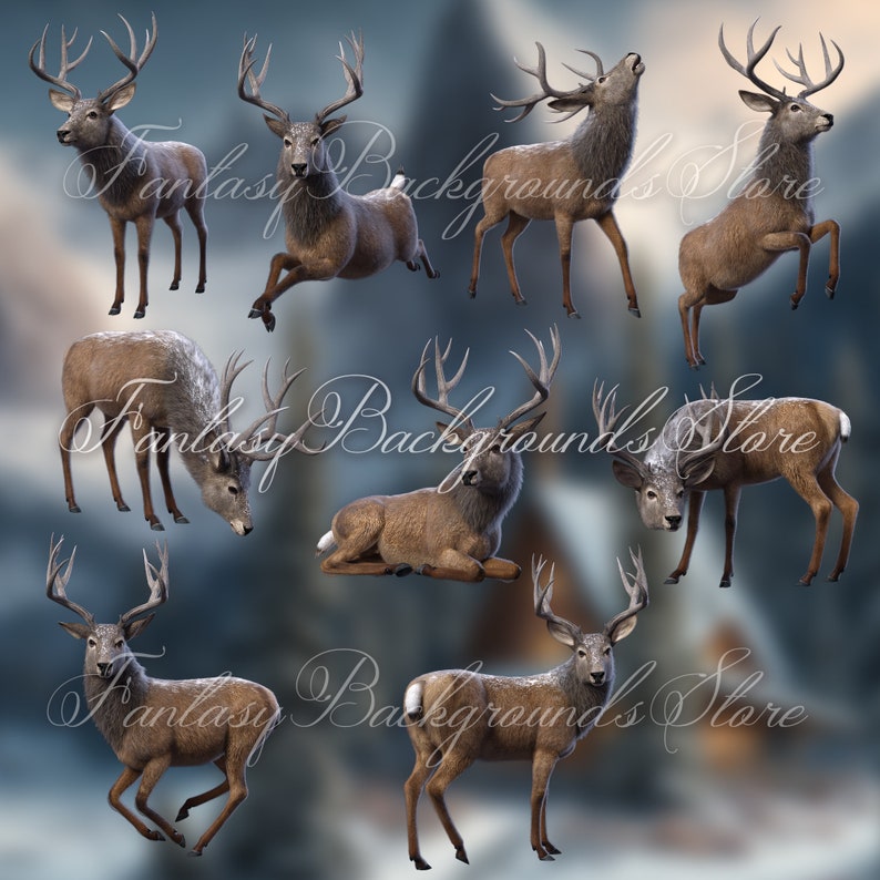 Reindeer Overlays, Reindeer Png , Winter Overlay - Etsy