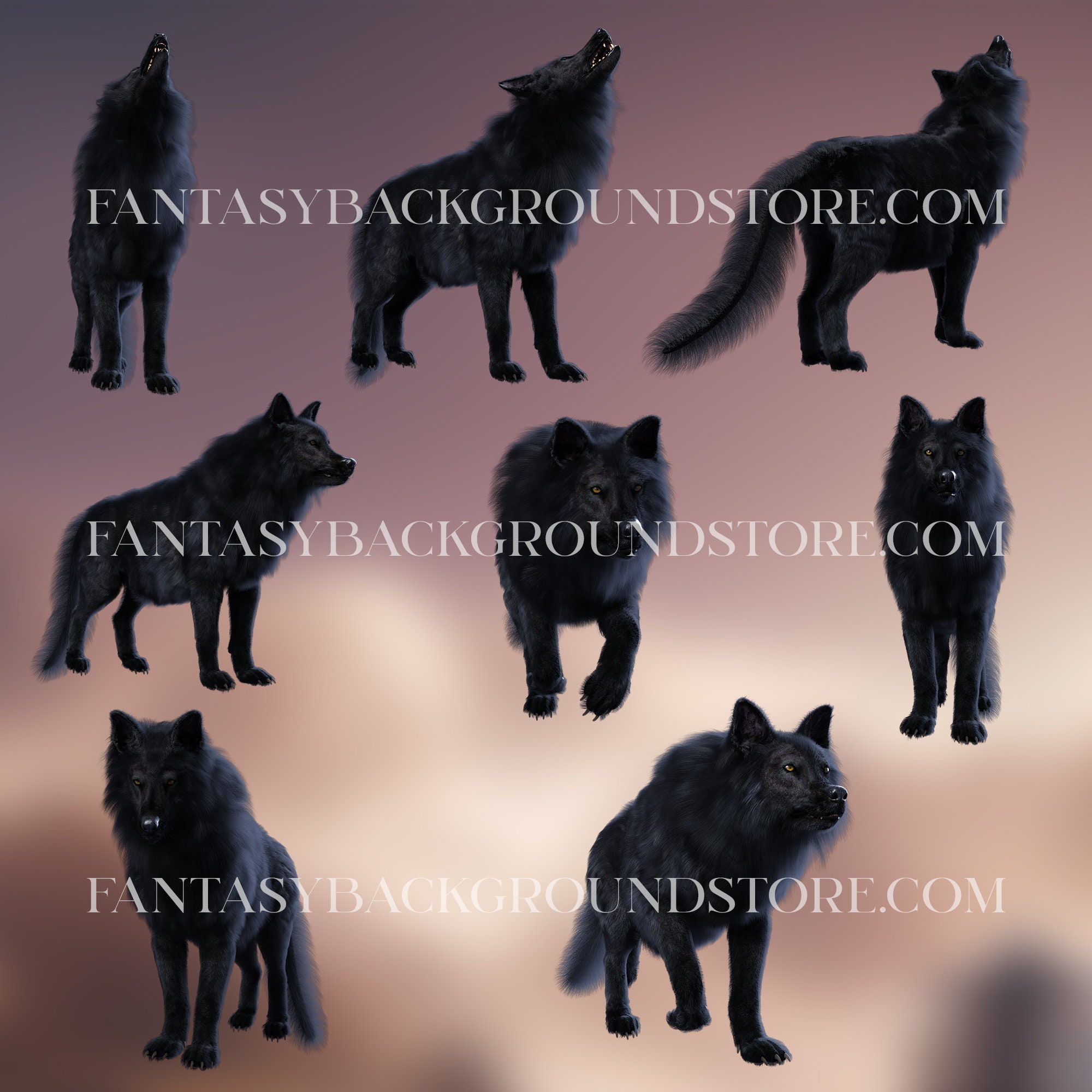 23 Fantasy Wolf Overlays - Etsy