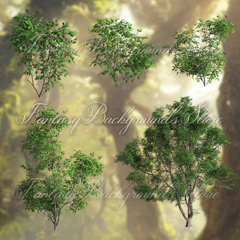 Green Trees Overlays , Tree Overlays , Overlays for Photoshop, Trees ...