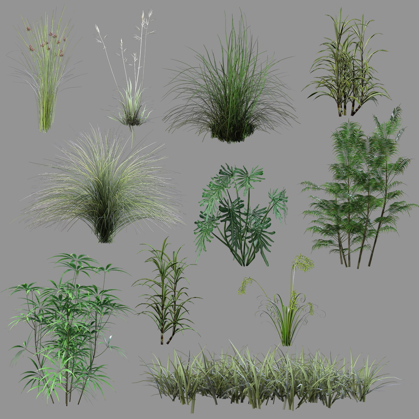 Grass Overlays , Photoshop , Plants, Cutouts, Scrapbooking, PNG ...