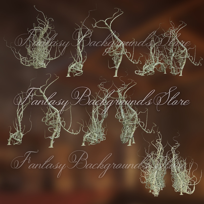 Vines & Thorns Overlays , Digital Vines , Thorns - Etsy