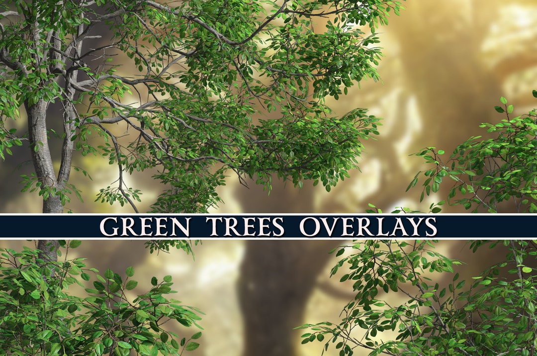 Green Trees Overlays , Tree Overlays , Overlays for Photoshop, Trees, Plants, Scrapbooking, PNG ...