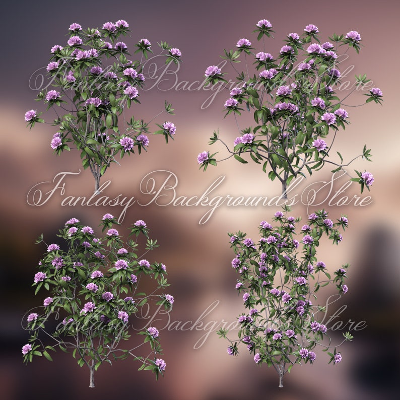 Flores , arbustos superposiciones Backdrop Photo Overlays , Photography ...