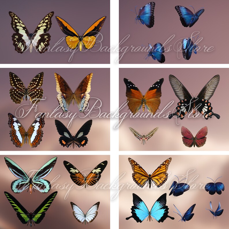 Butterflies Overlays , Png Butterflies , Flying Butterflies , Photoshop ...