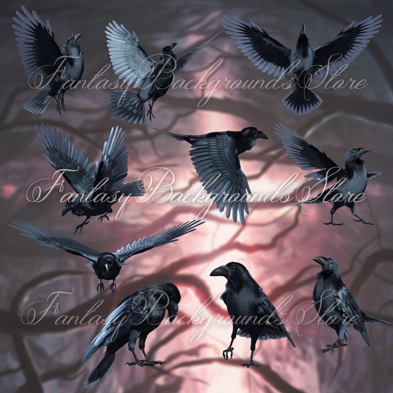 Crow , Raven , Halloween, Gothic PNG Overlay ,fantasy Crow , Photoshop ...