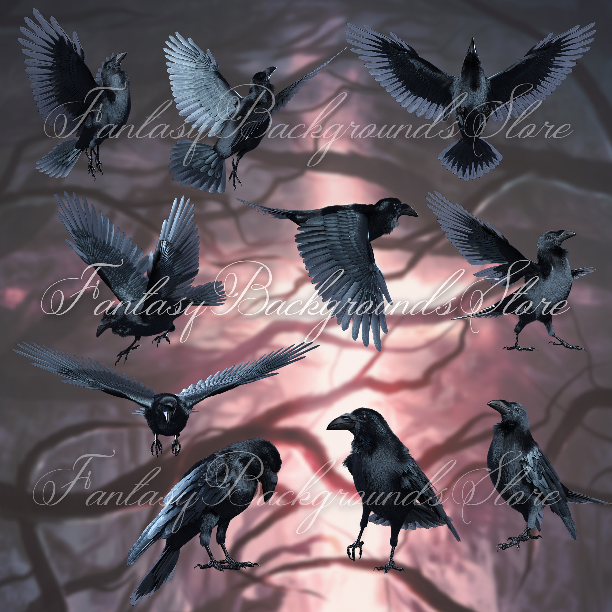 Crow , Raven , Halloween, Gothic PNG Overlay ,fantasy Crow , Photoshop ...