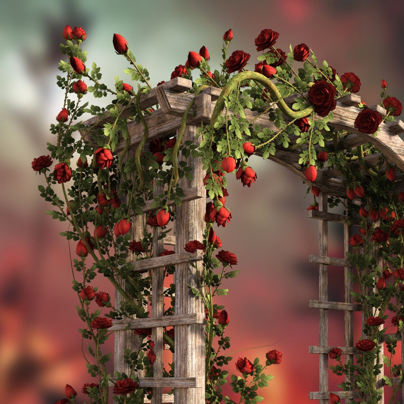 Gazebo With Roses Overlays , Rose Vines Overlays , Gazebo Overlays - Etsy