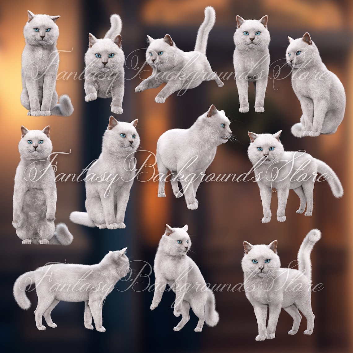 White Cat Overlays , Cat Fantasy Overlays, Cat Backdrop Photo Overlays ...