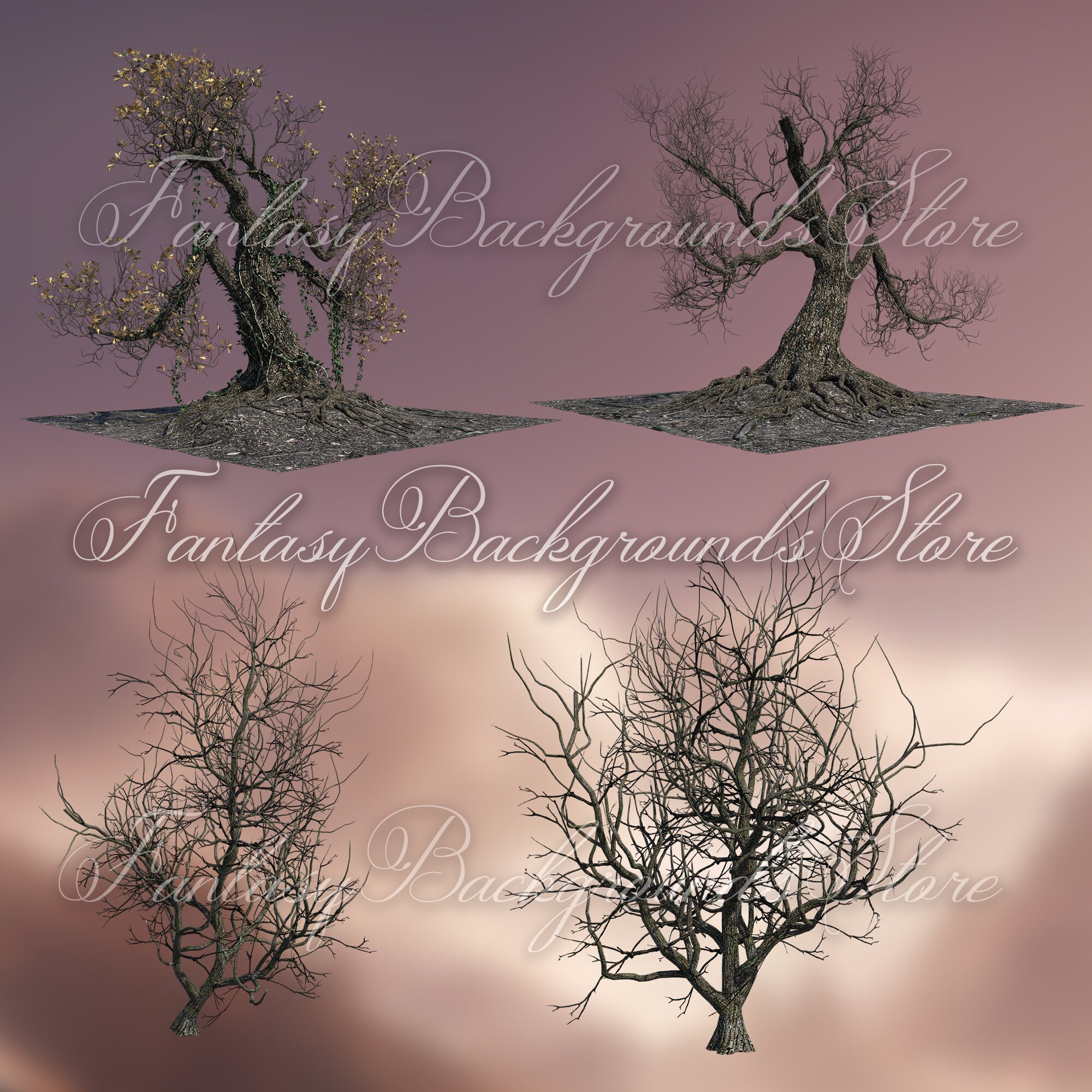 Dead Trees Overlays , Bare Tree , Dry Trees , Old Trees , Overlays - Etsy